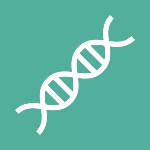KS3 Biology: Genetics & Evolution - In My Element