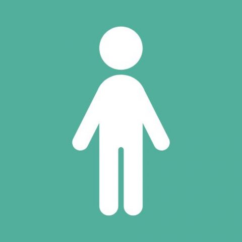 KS3 Biology: Human Body - In My Element